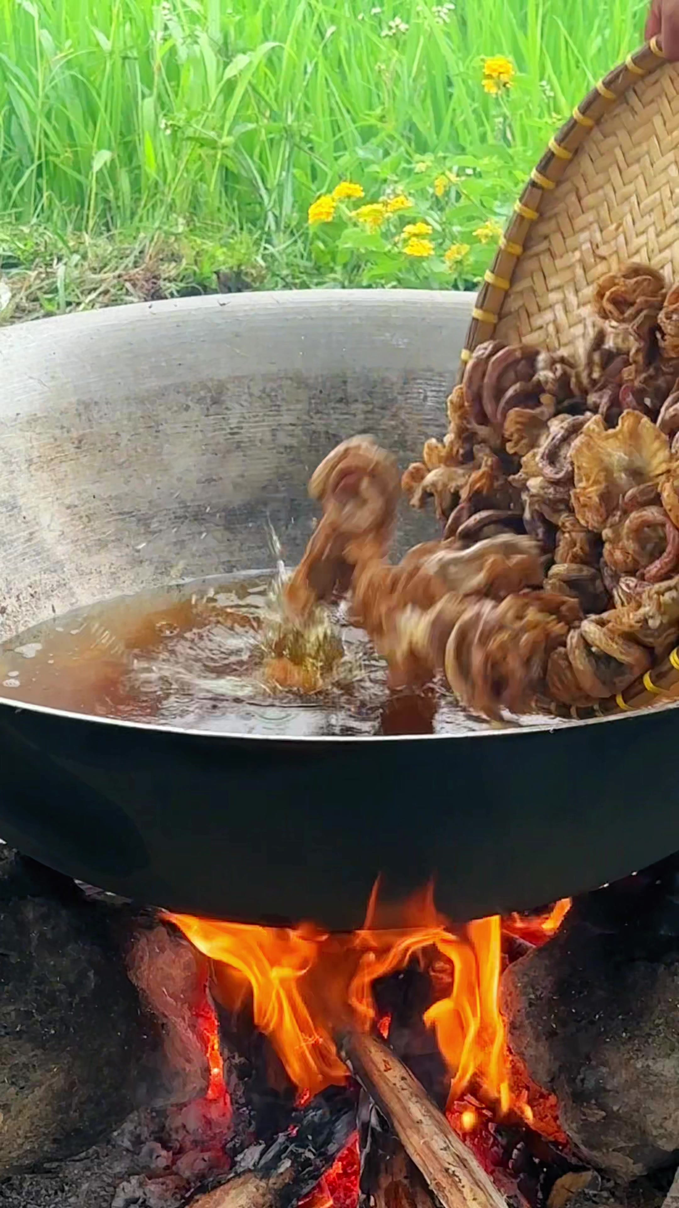 Joseph The Explorer Products (@josephthexplorerofficial) - Urlebird