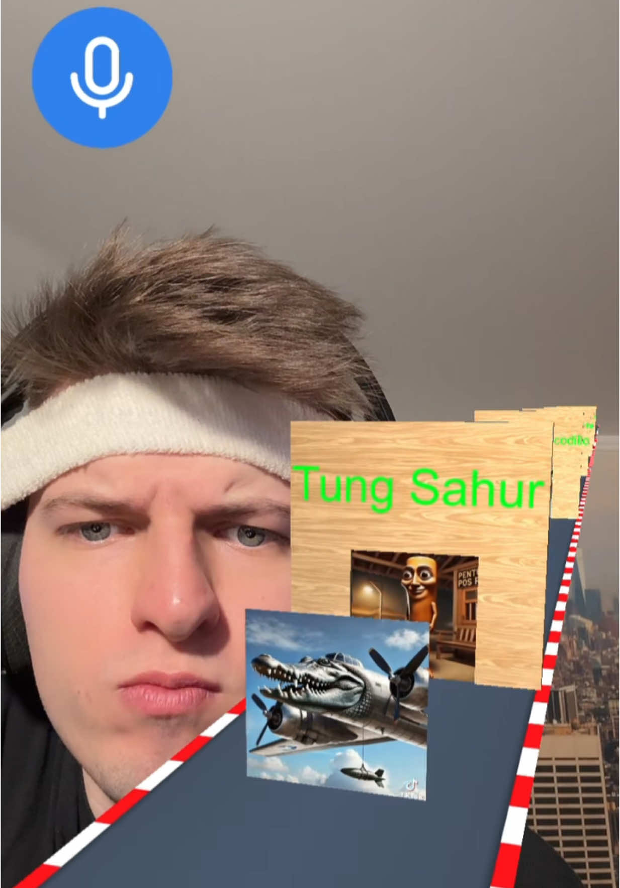 tung tung tung sahur broken brainrot | АнаТохич (@anatoxich)