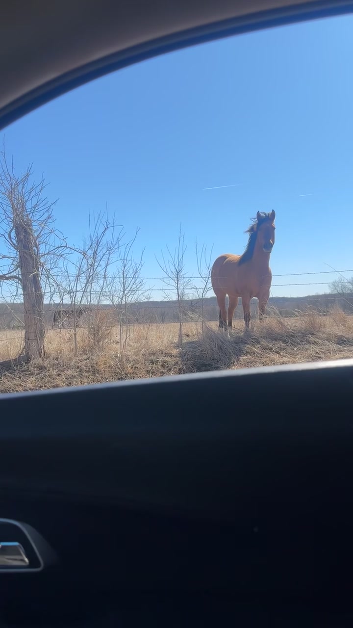 This @Sézane cardigan is never leaving | Mirandita (@mirandituh)