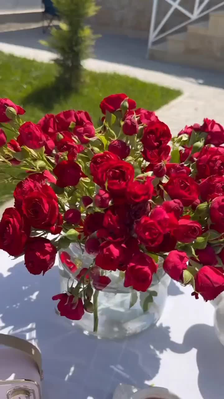 MİLA SS (@ss__mila) - Urlebird