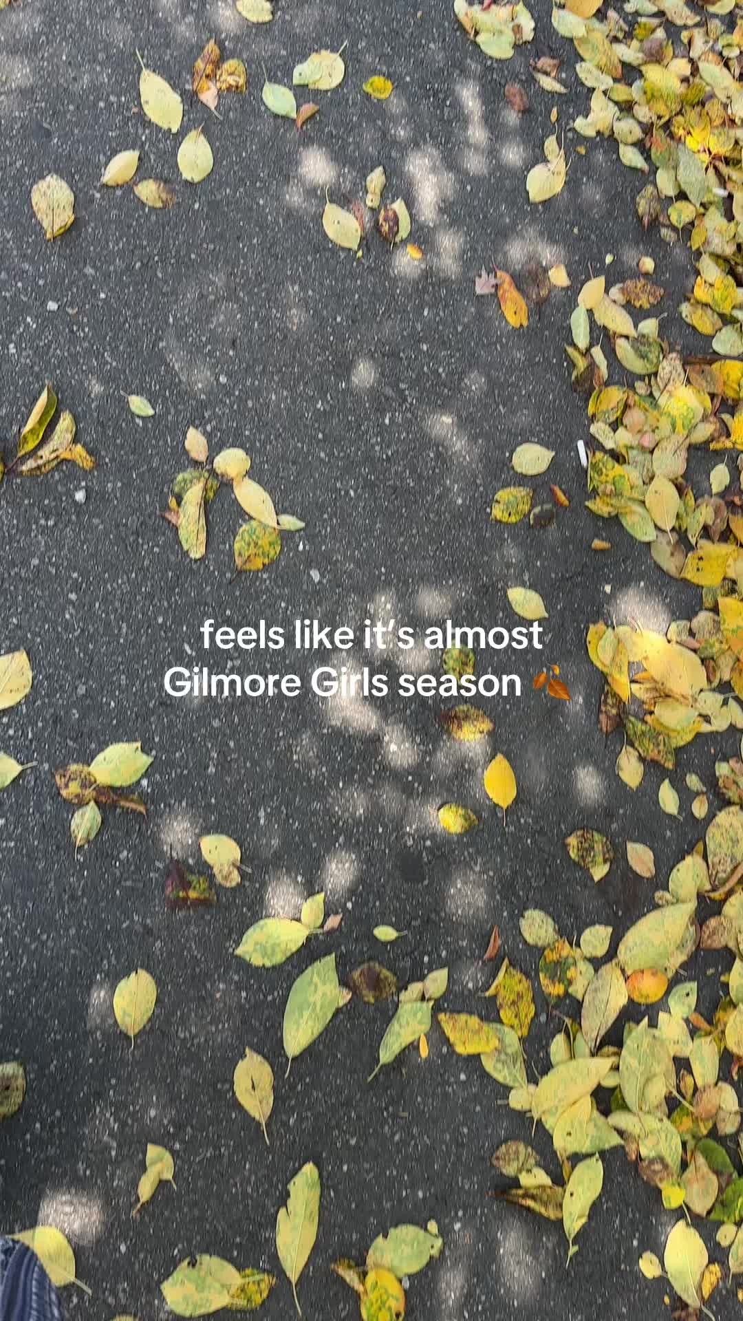 mermaid shea (@mermaidshea) - Urlebird