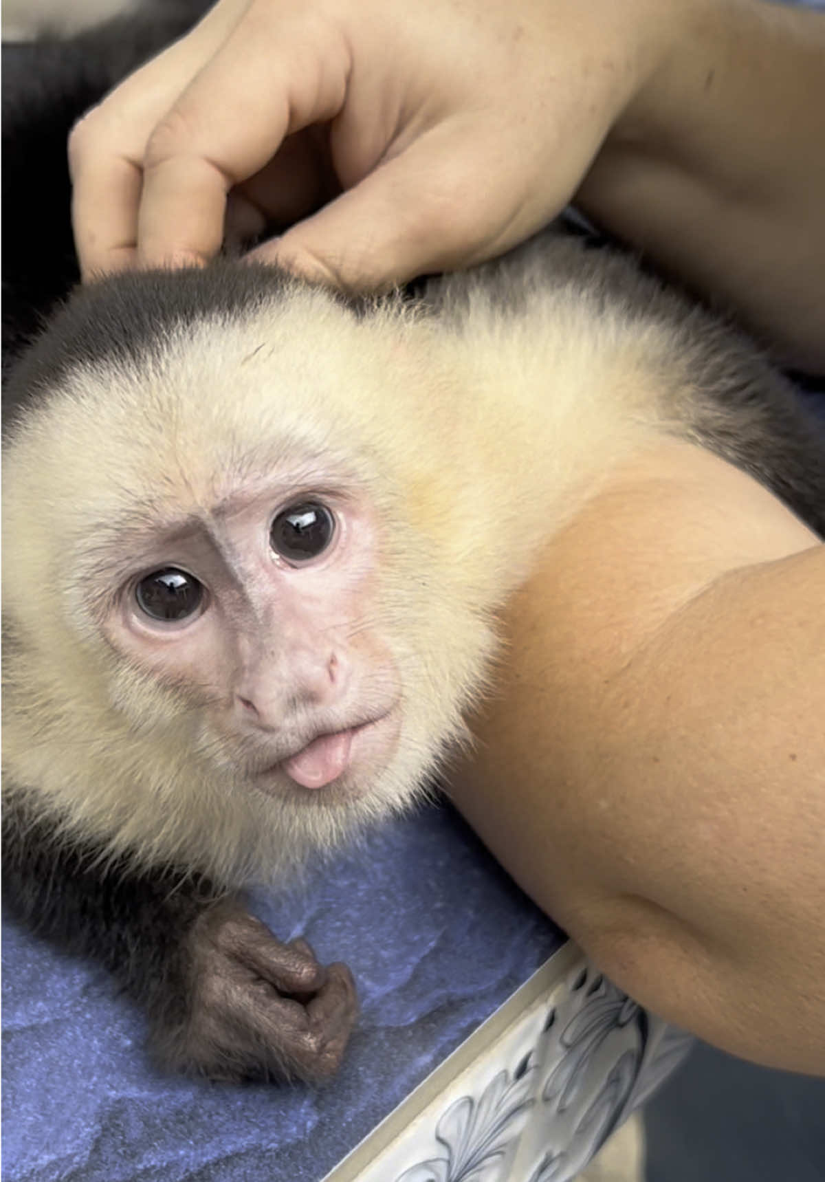 Baby.Suni (@baby.suniii) - Urlebird