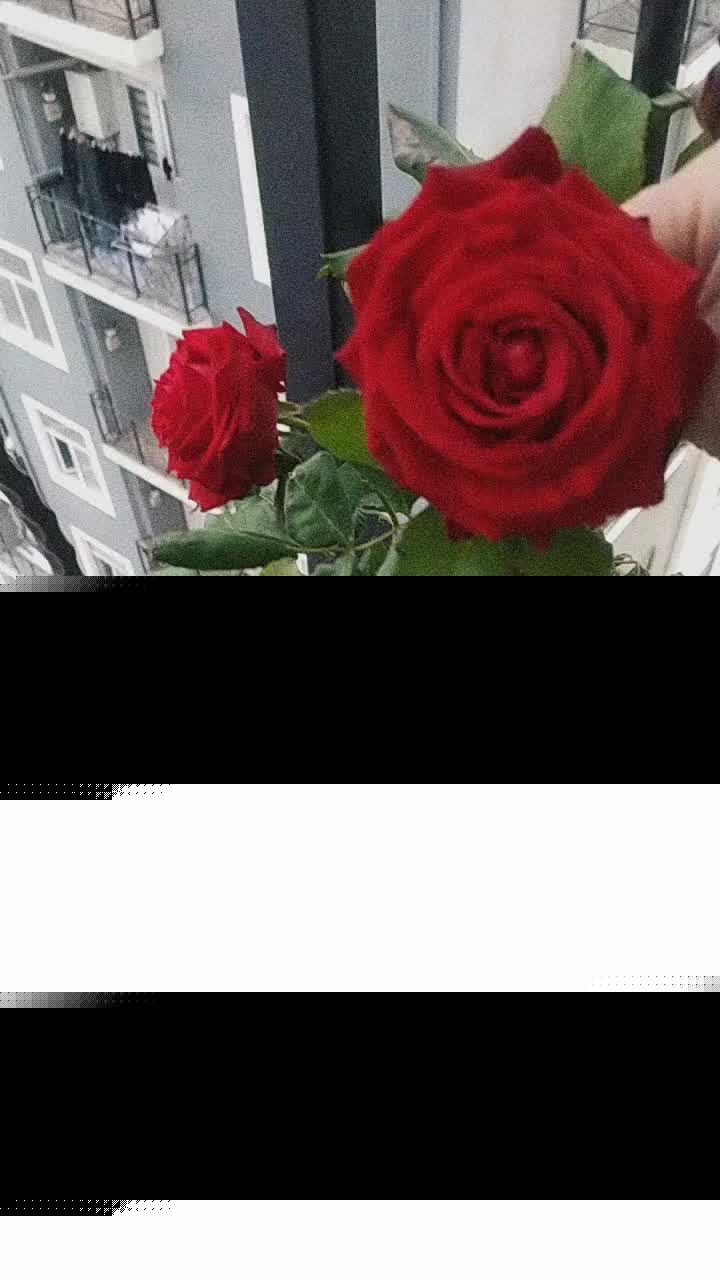 MİLA SS (@ss__mila) - Urlebird