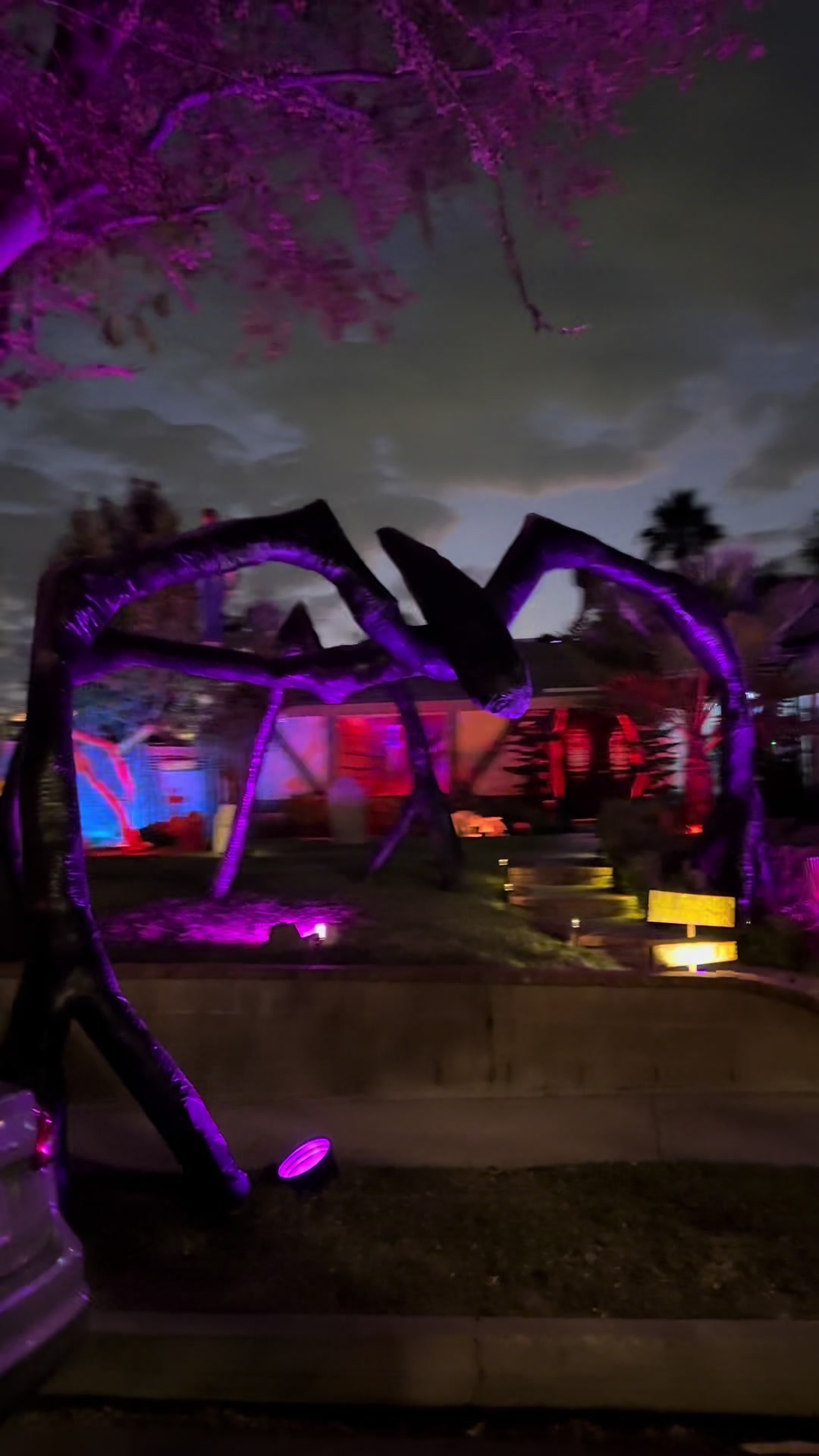 Watch me hook and land a salmon | Bloom Fishing (@bloom.fishing)