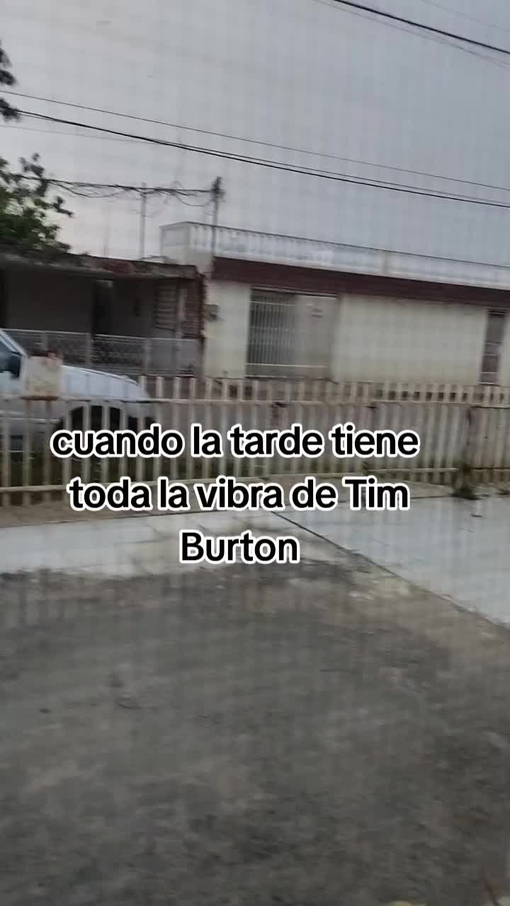 Miss Ary (@miss_ary24) - Urlebird