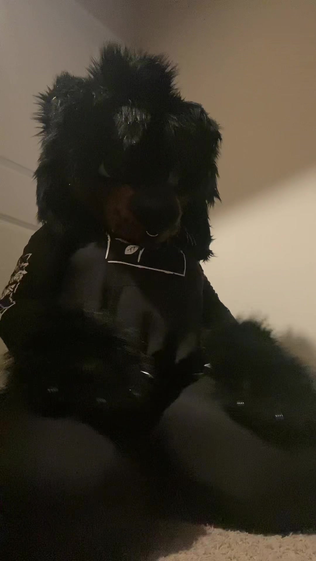 Content Creatorin der anderen Art | Linda Lanu (@linda.lanu)