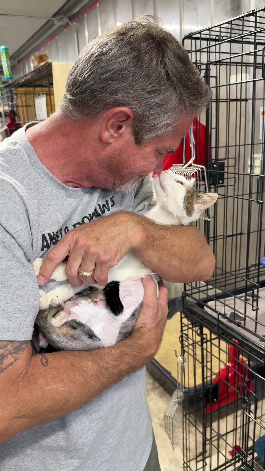 19.6K hearts, 1.53K | Annie Zheng (@cellow111)