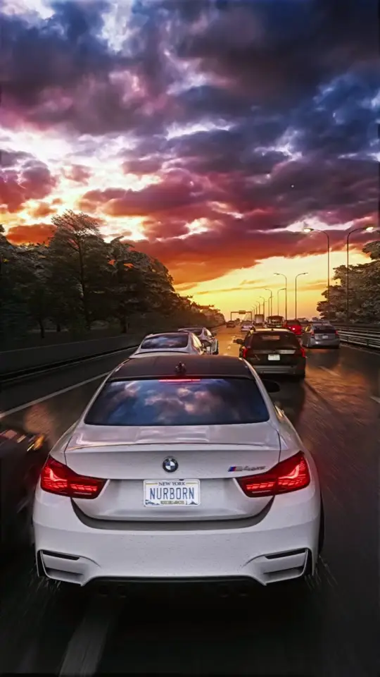 MAIVEN (@maiven_graphics) - Urlebird