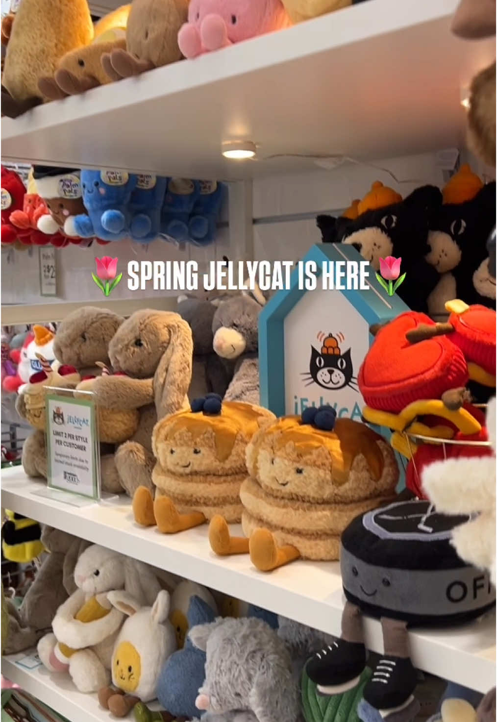 Some spring @Jellycat has arrived at | Twisted Goods (@twistedgoods)