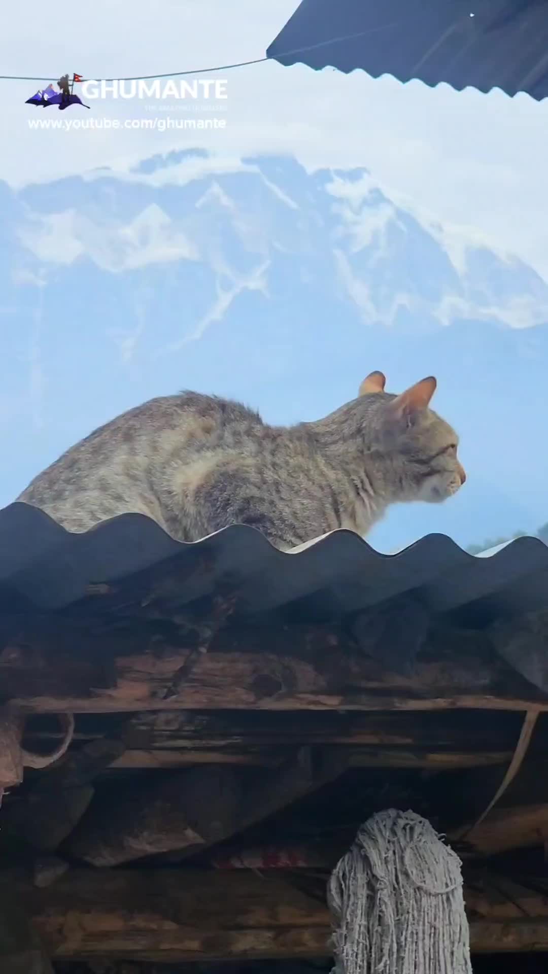 Biralo ra Lamjung Himal, Tangting ko | Ghumante (@ghumante_official)