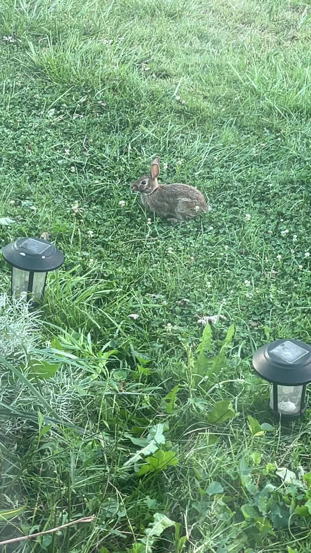 unoangryone (@unoangryone) - Urlebird