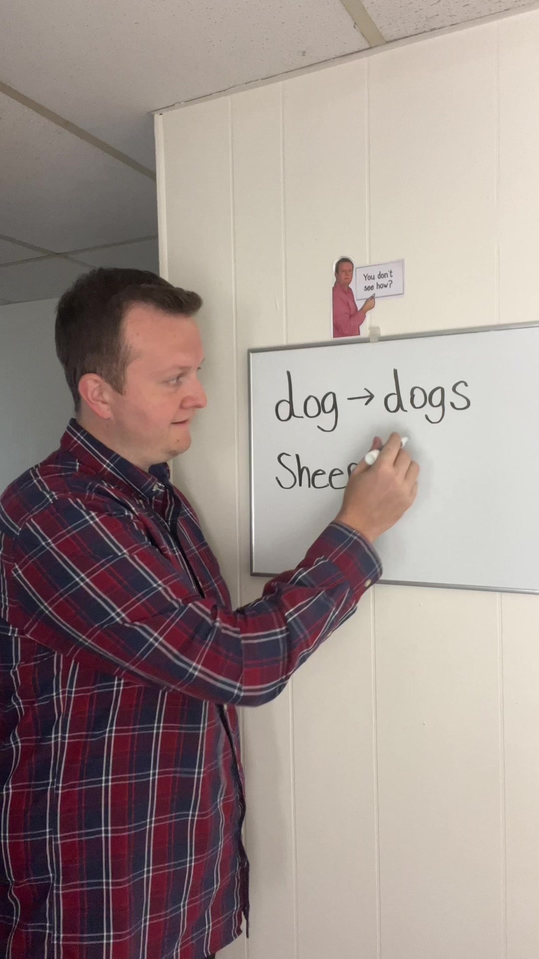 Bobby Finn (@itsbobbyfinn) - Urlebird