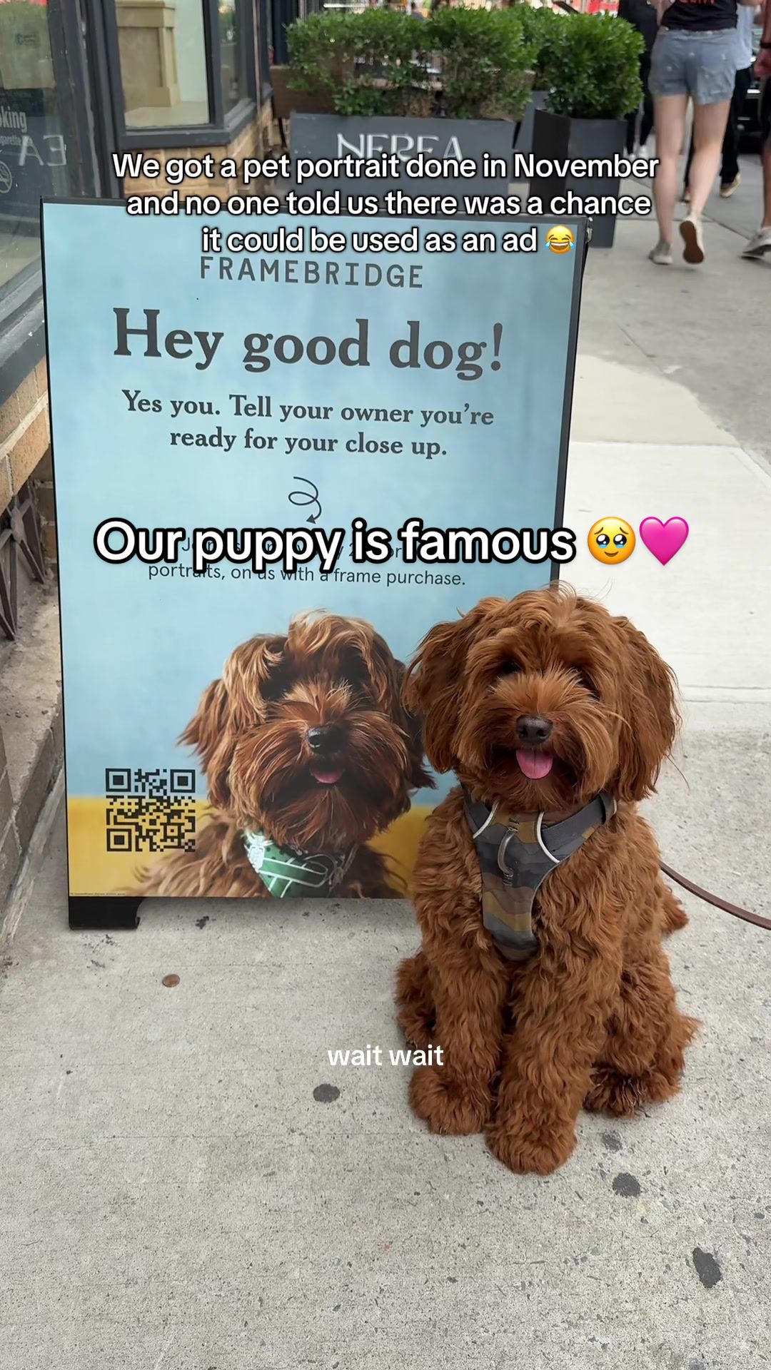 INSTA digestion~, did you ever know how | Voraisha (@voraishavore)