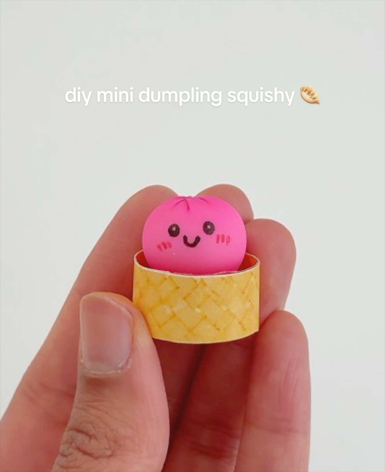 How to make the viral dumpling squishy | Nim C (@morethingsnim)
