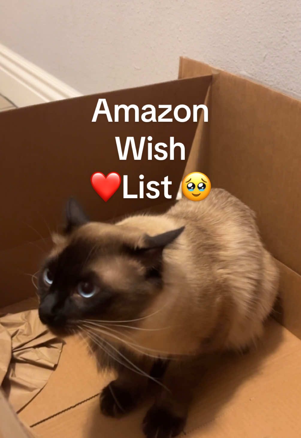 Ashley Rabbit (@msashleyrabbit) - Urlebird