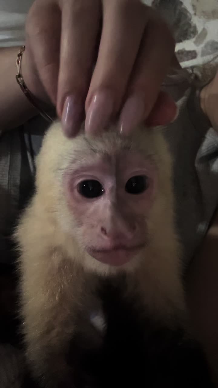 Baby.Suni (@baby.suniii) - Urlebird