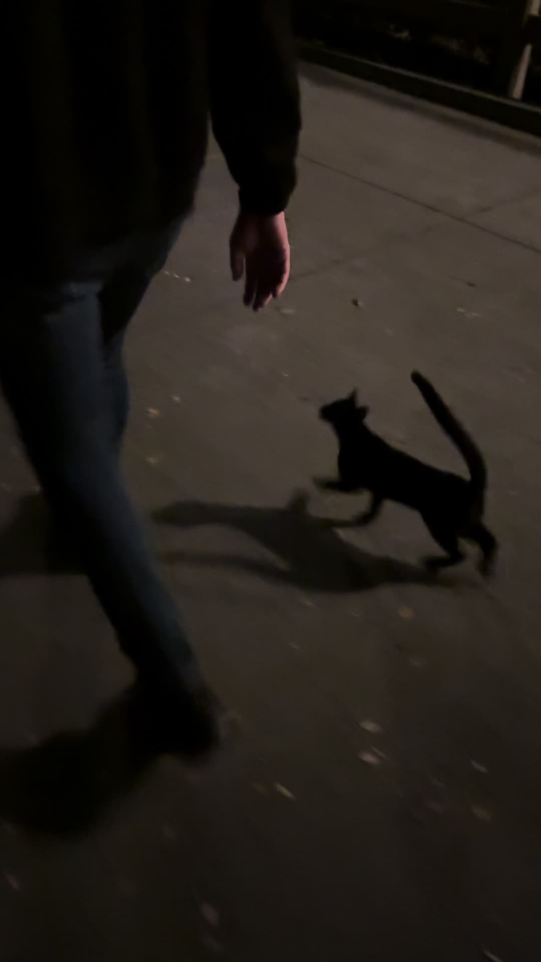 Video Zarzour Running Original Video | 𝑺𝑨𝑵𝑻𝑶𝑺.𝑲𝑴𝒁𝑹𝟕 (@santoskmzr7)