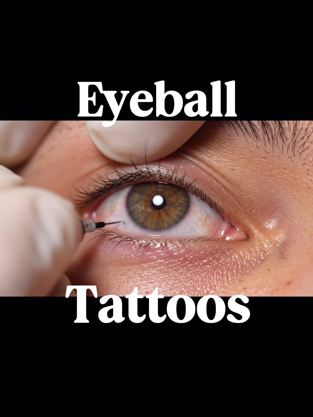 My fav song tbh | Anna kopf (@annakopf.22)