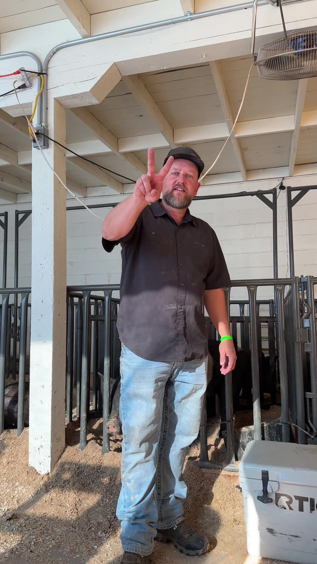 Dead to the World by Noel Gallagher’s | Alisha (@zombeeshka)