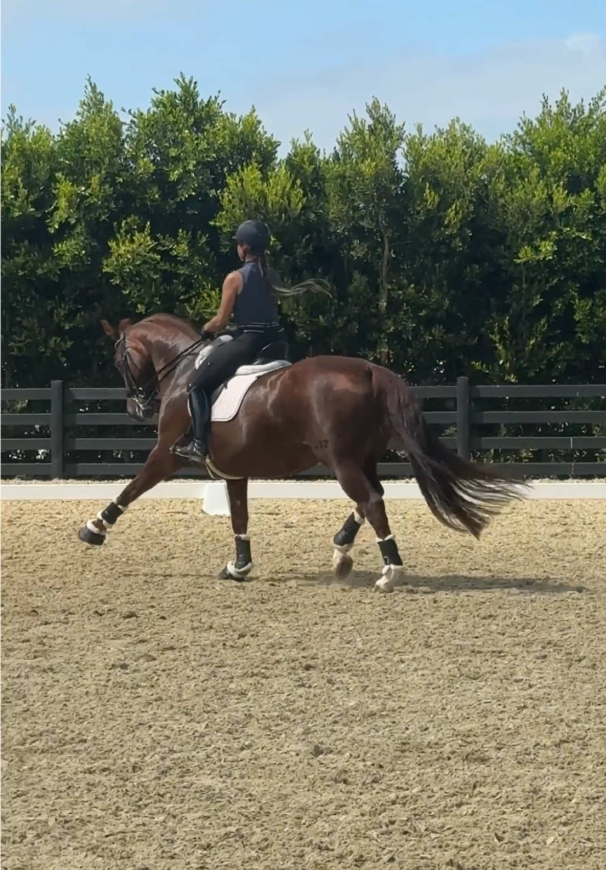 Hoje eu vou... 🎵🎶 #tik_tok | Erica Mateus (@ericamateuspino)