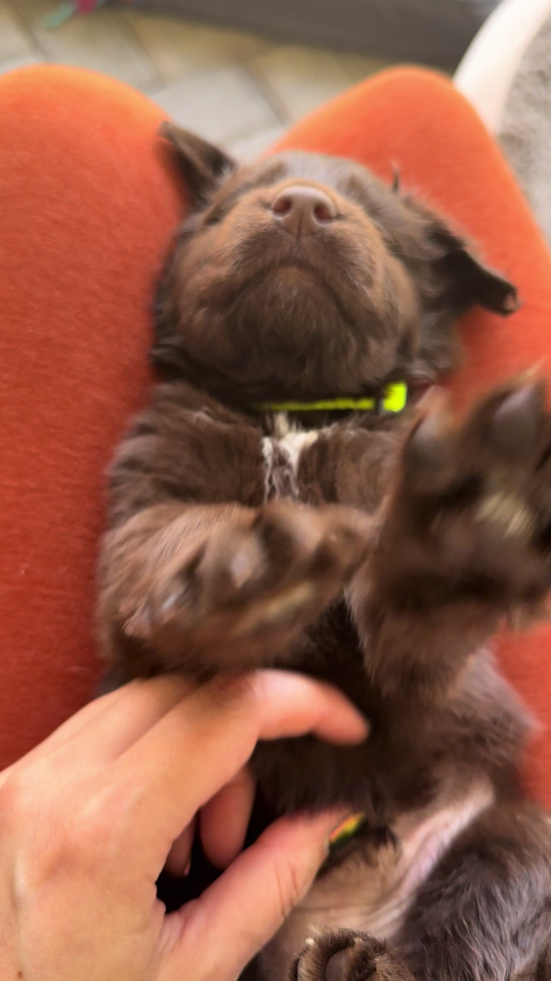 Fly home buddy… I wear cologne | The | Lexusupra (@lexusupra)