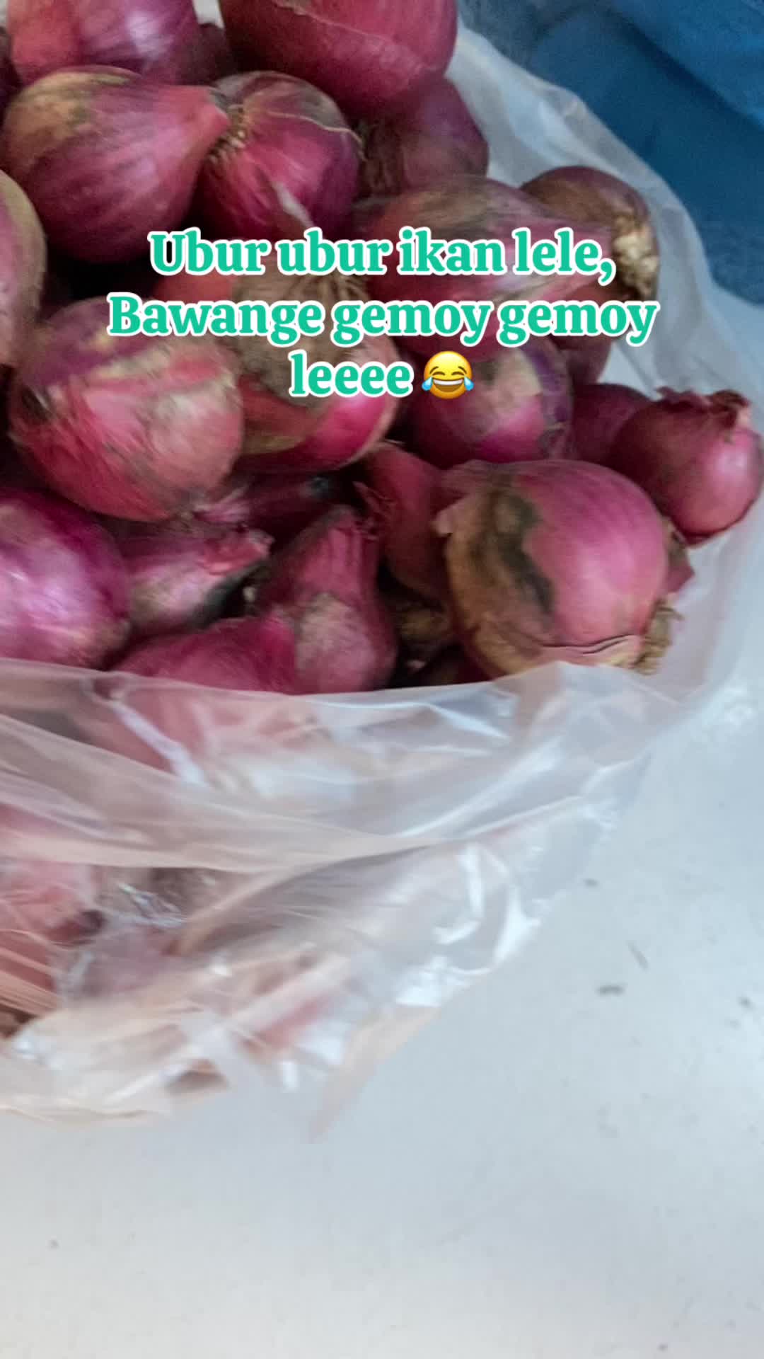 Ubur ubur ikan lele , bawang e leeee | bananacoco (@bananacoco08)