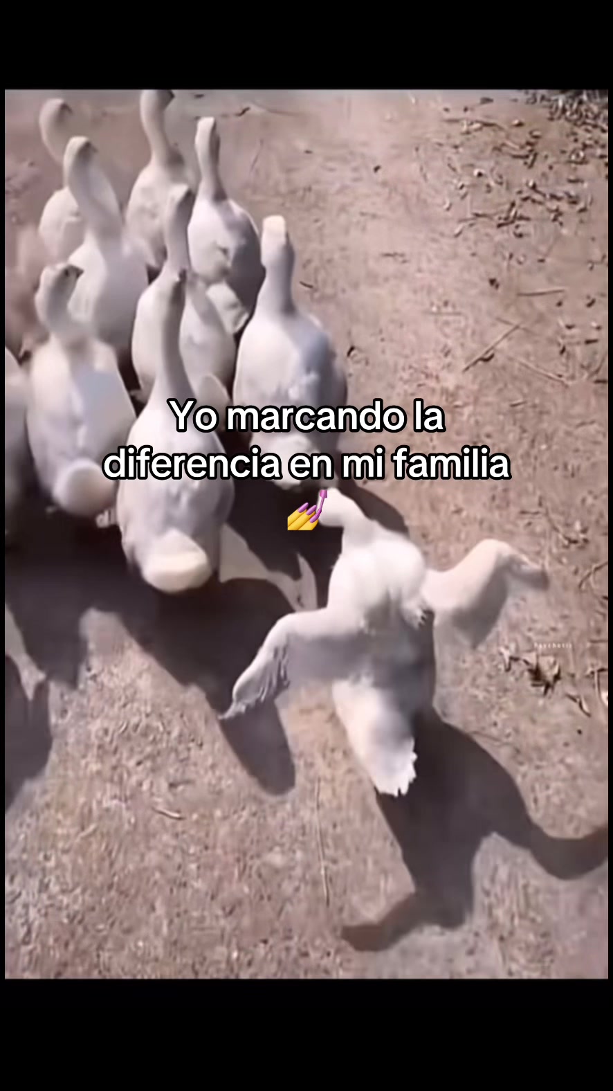 MamaZota - Arlene MC - Tiktok videos with song