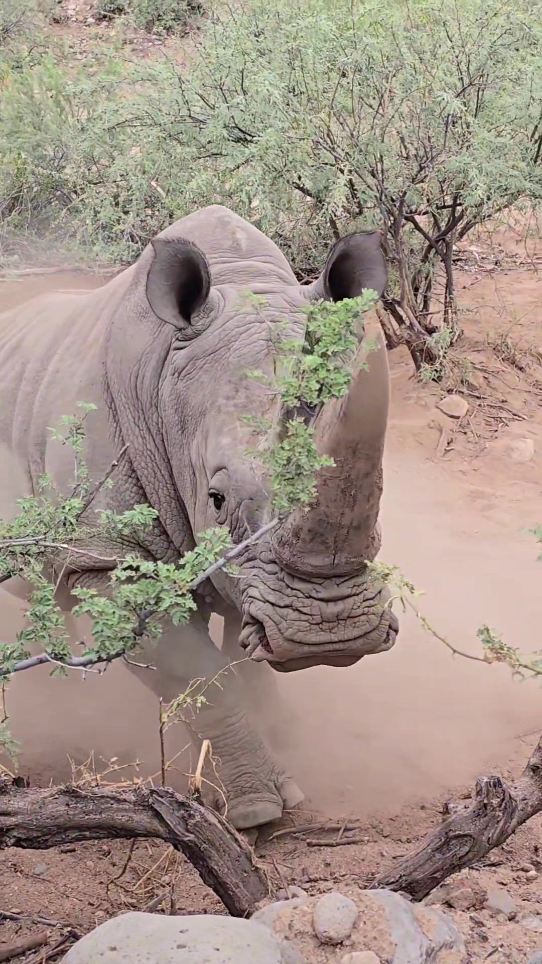 Content Creatorin der anderen Art | Linda Lanu (@linda.lanu)