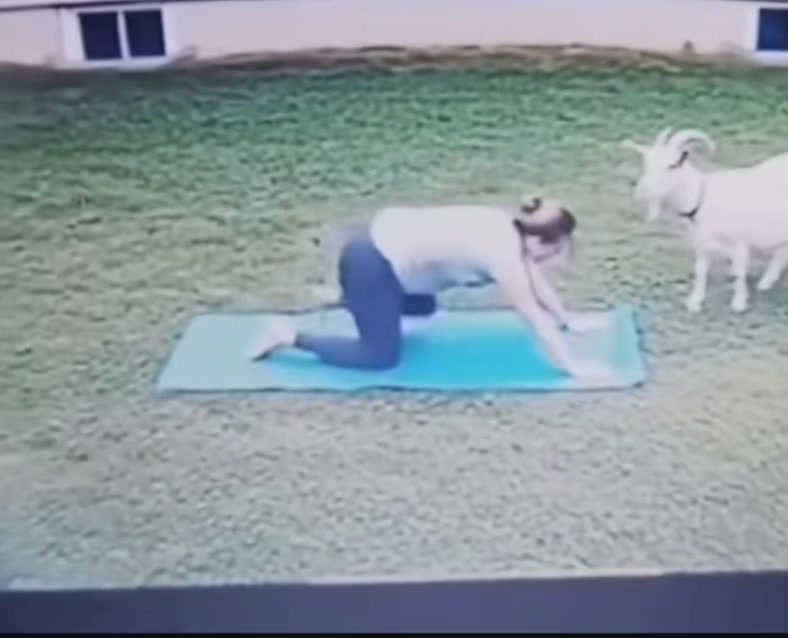 4.91K hearts, 103 shares | Raychel_kiss (@raychel_kiss)