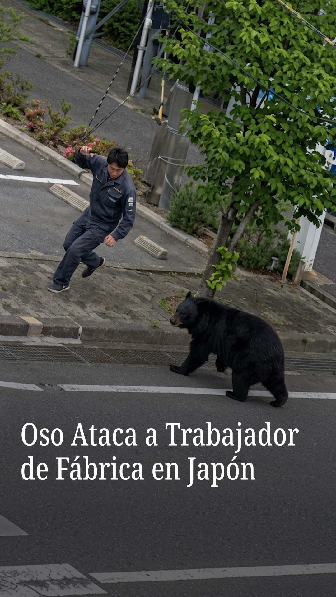 En Fukushima, Japón, un oso atacó a | Nmás (@n.mas)