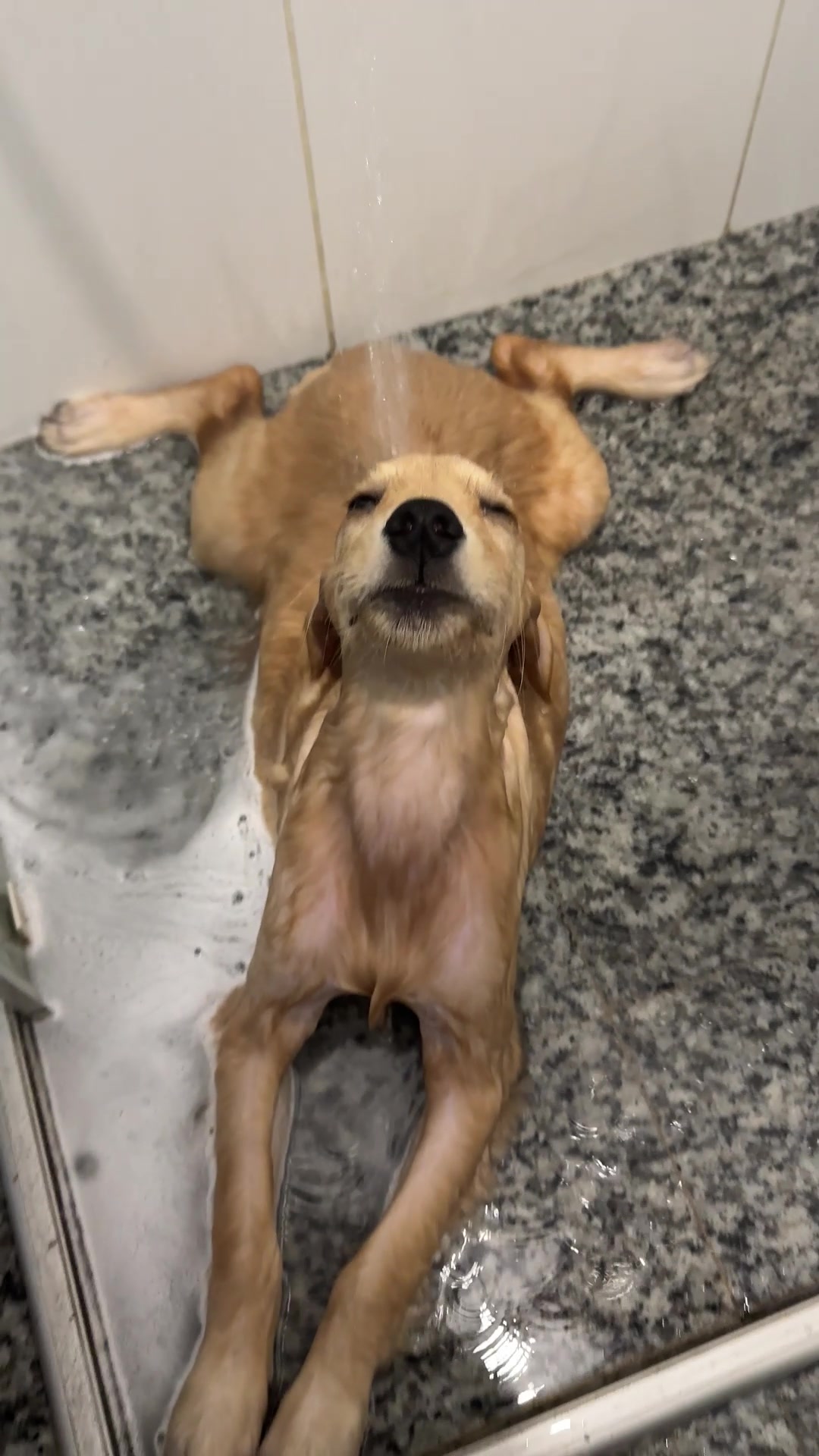 Forsaken MCSM admin skin concept | Xoaterz (@xoaterz_official)