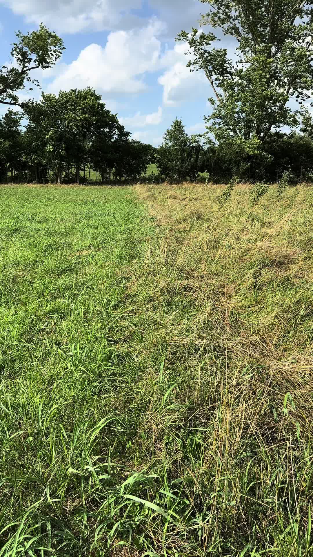 Unity Farms (@unityfarmsky) - Urlebird
