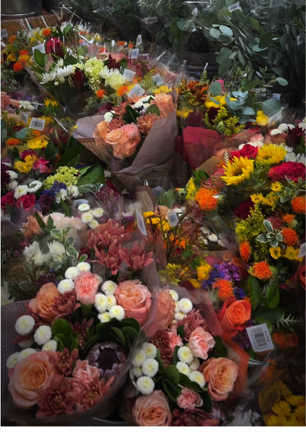 Ashley Rabbit (@msashleyrabbit) - Urlebird