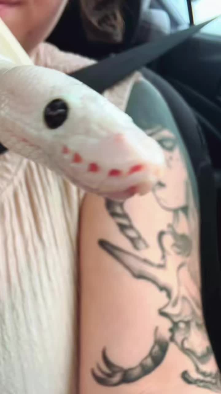 We skirted a giant shallow area we | Sailing Dark Angel (@sailing ...