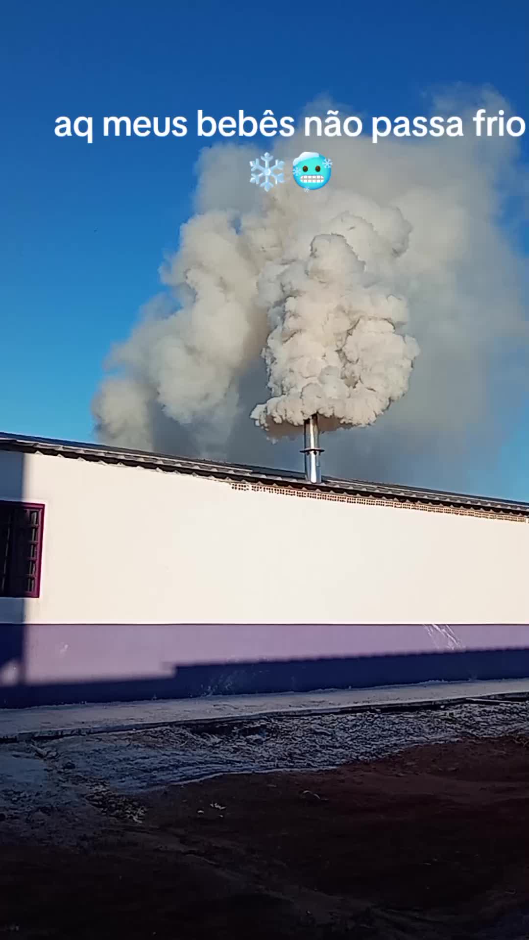 Priscila de Fátima (@prisciladefatimai) - Urlebird