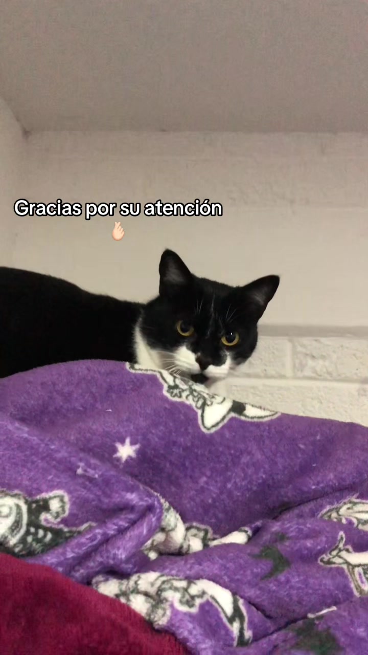 Moreira method sab too op | Aelykx (@aelykx)