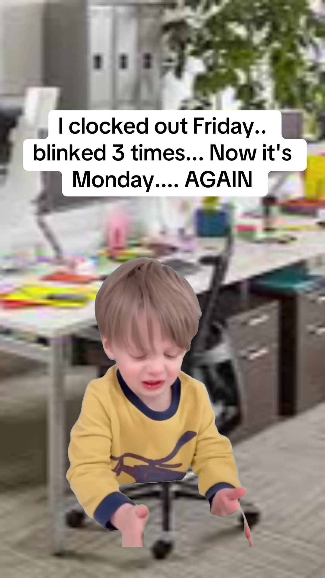 2025 is my first year in my 30s 👏🏻. But | Bella Gallops ...