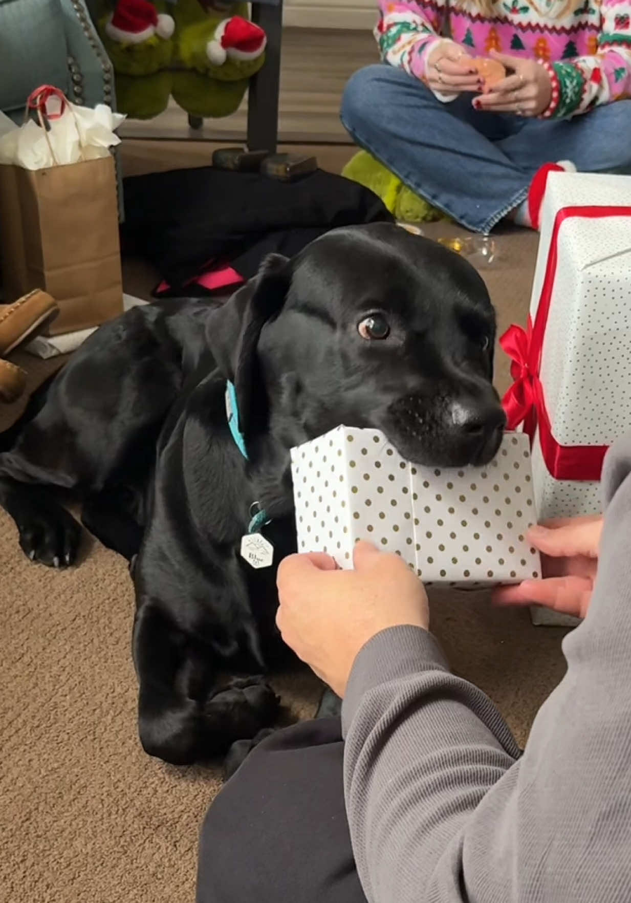 first dtiys I’ve ever joined guys…and | nickisxqu (@nickisxqu)