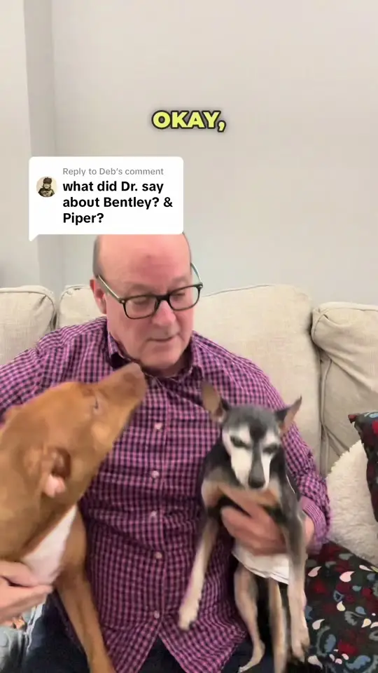 Replying to @Deb Piper and Bentely are | Pipers Dad (@dennis.gerard)