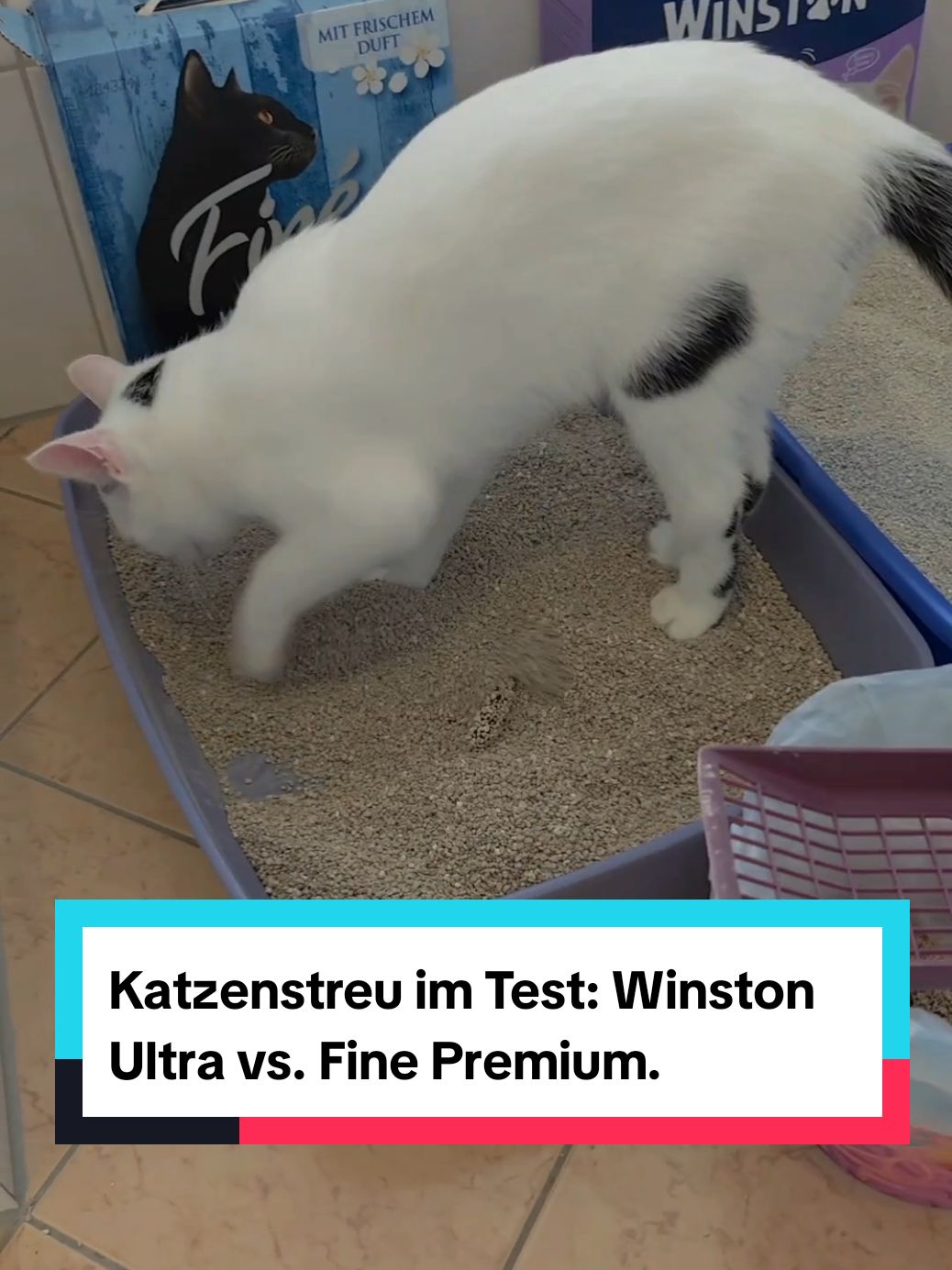 Katzenstreu im Test: Winston Ultra von | Mitzi (@mitzimeau)
