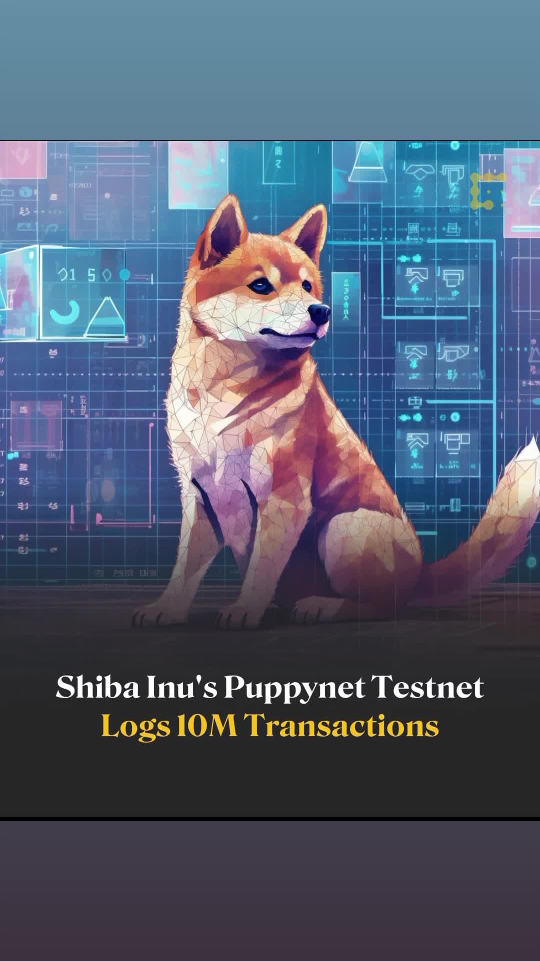 sebelum sibarium mainnet yu di buy coin | sinyo (@sinyo3690)