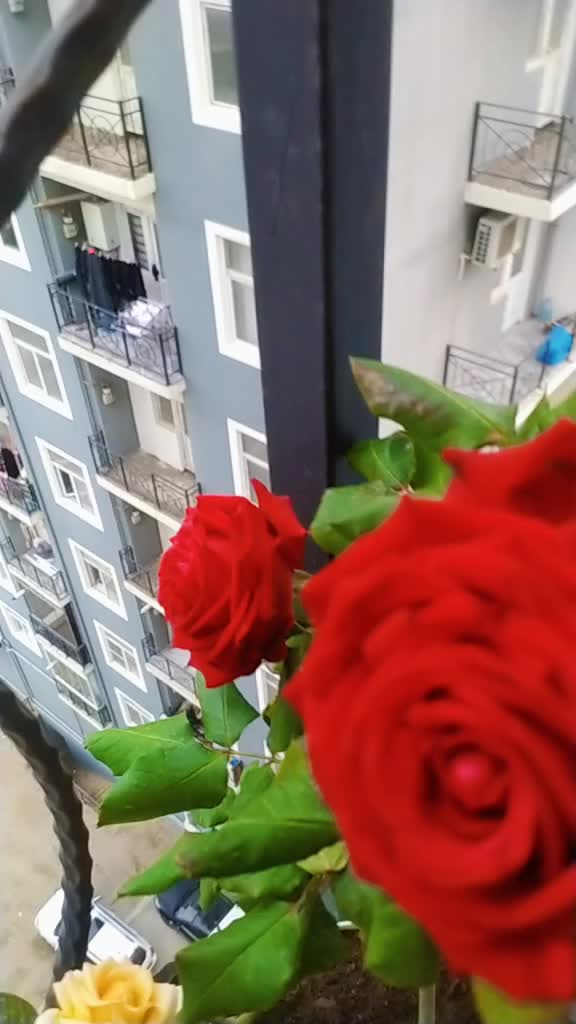 MİLA SS (@ss__mila) - Urlebird