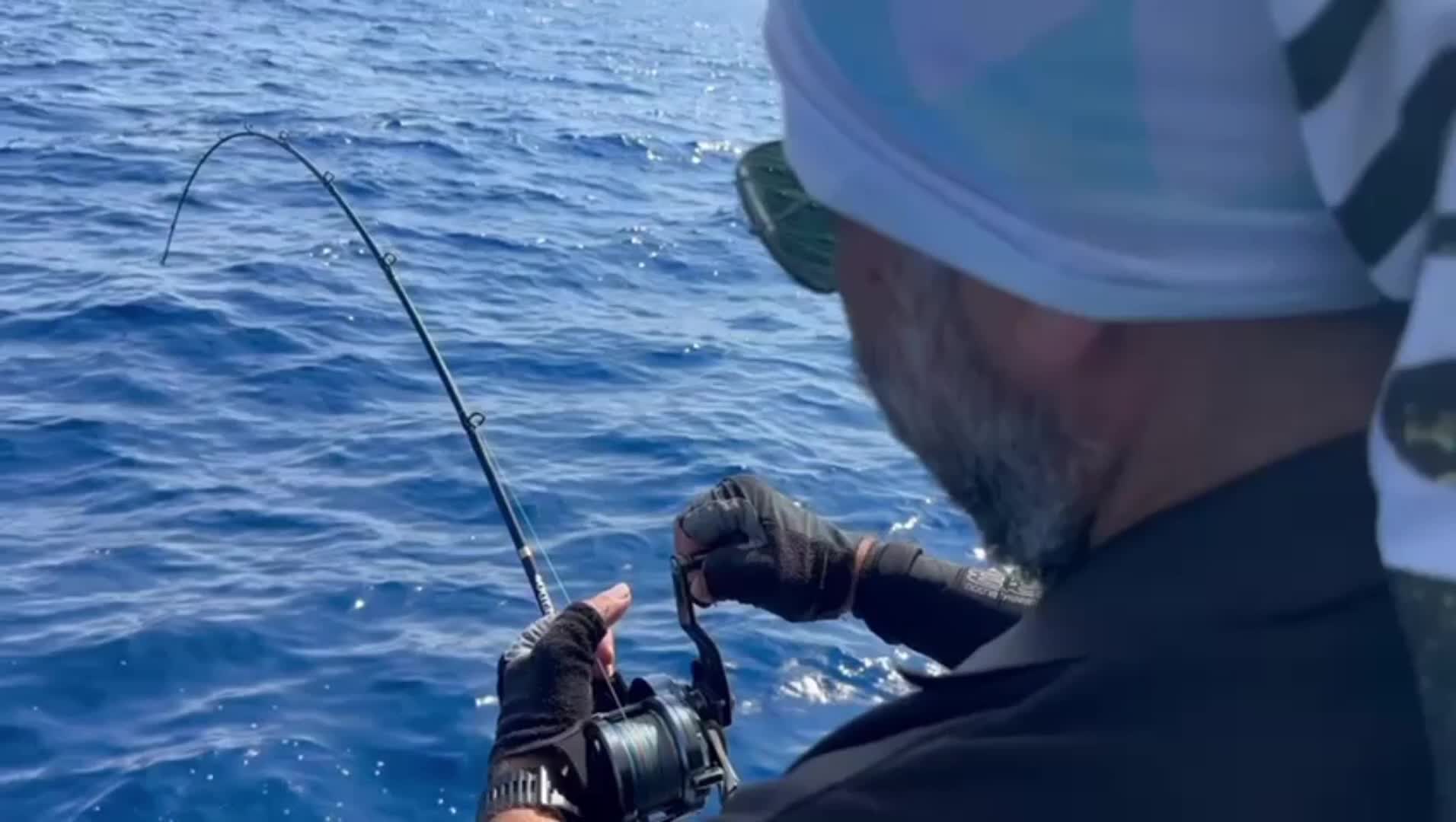 🦄 @ifishing.gr - Ifishing.gr - TikTok