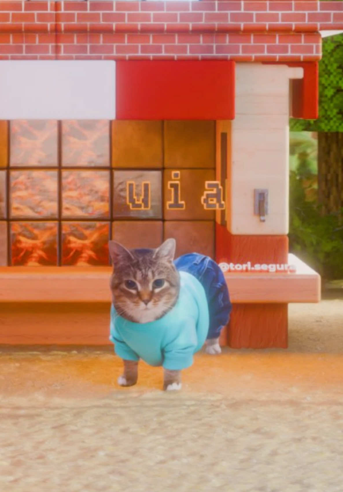 Ethel‘s Lava Uia 😼🔥 OIIA Cat x Steve‘s | Tori (@tori.segura)