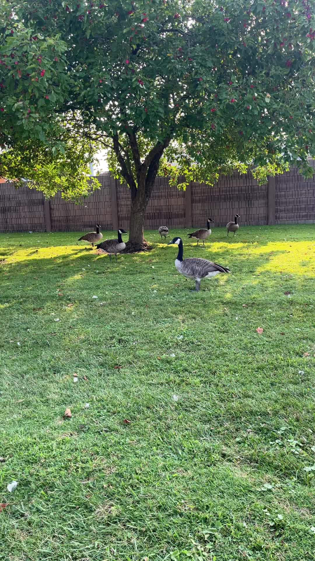 unoangryone (@unoangryone) - Urlebird