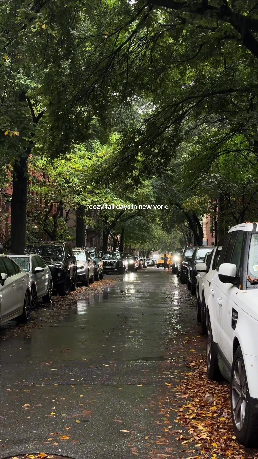 It’s starting to feel like fall in the | elena joyce | travel & nyc ...