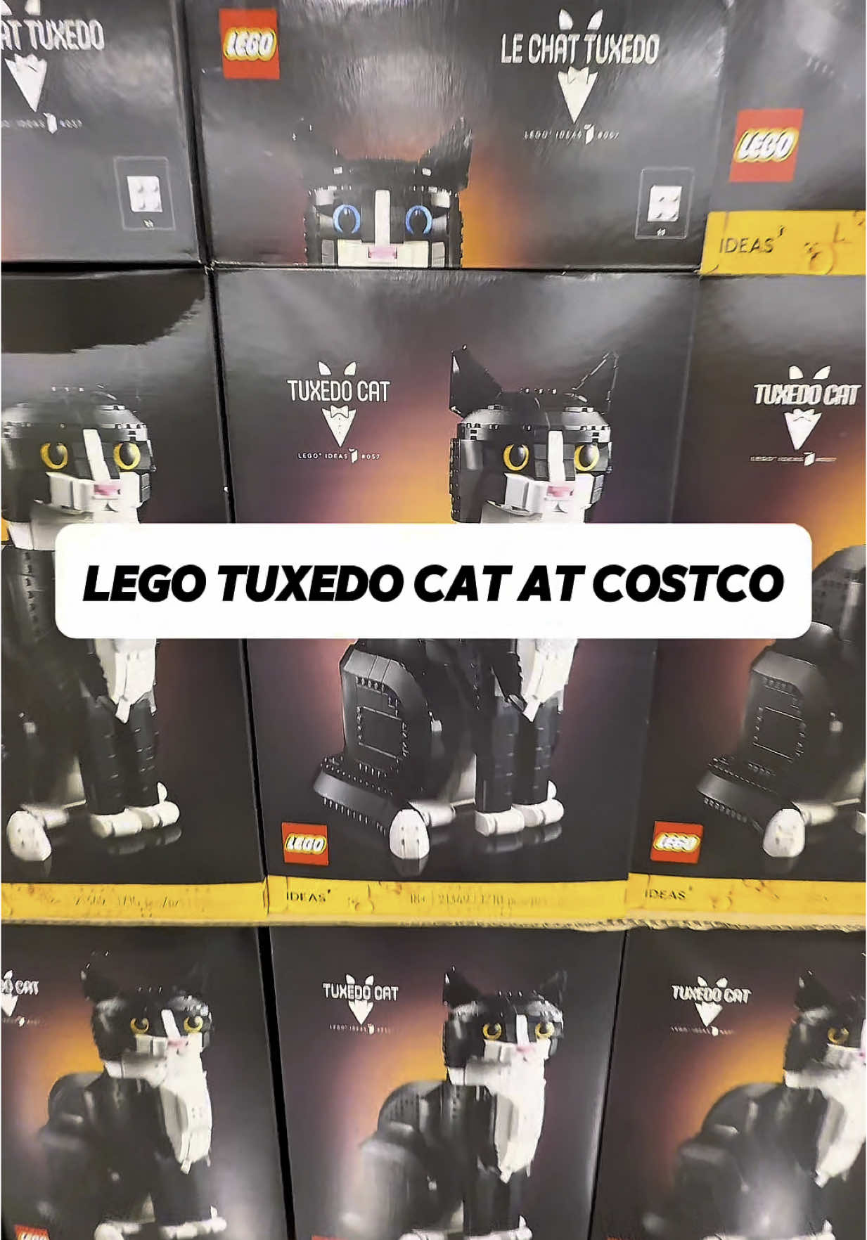 LEGO just made the purr-fect set for | Costco Wonders (@costcowonders)