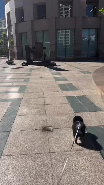 3 months into my Tattoo apprenticeship | calvin_inkfiend (@calvin_inkfiend)