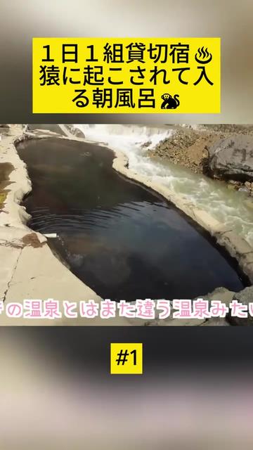 【温泉女子】1日1組貸切宿♨︎猿に起こされて入る朝風呂🐒 #長野 | Unagi chan / 温泉女子なぎちゃん (@skipnick.okela)