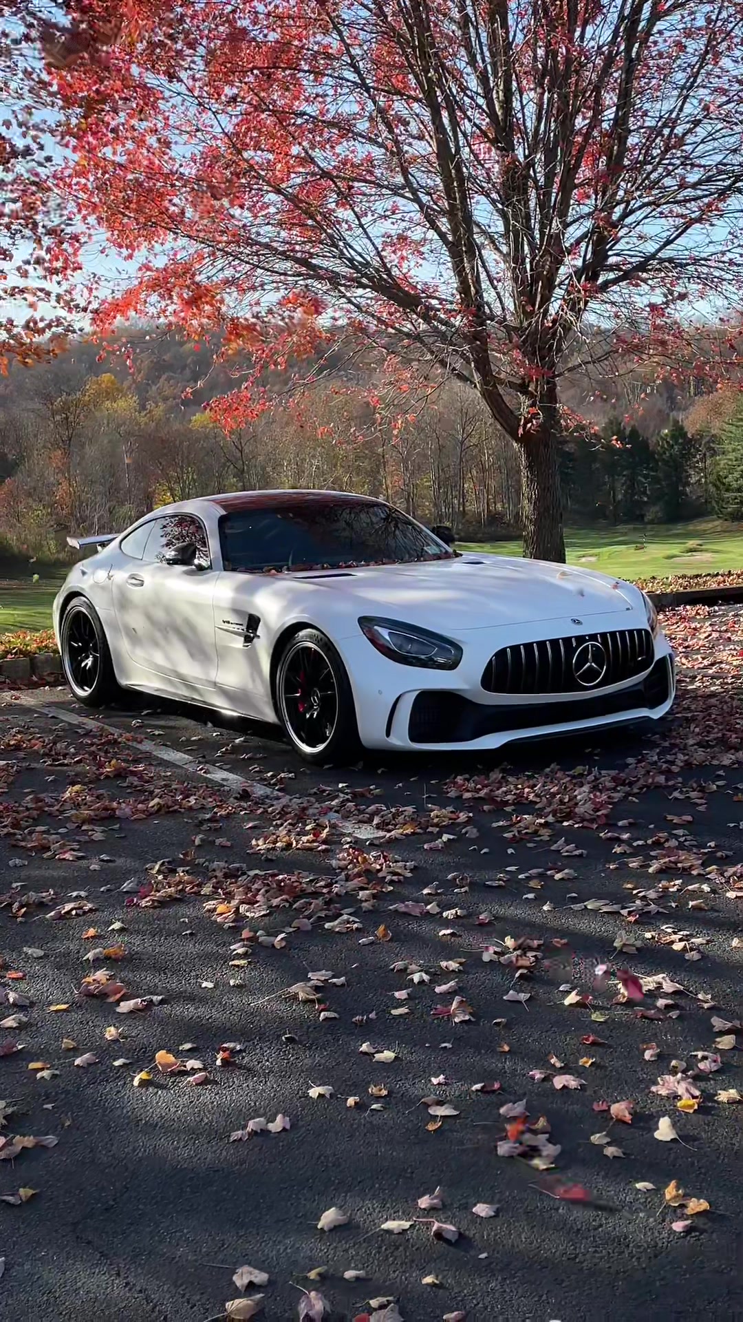 cars in the fall>> #mercedes #amg | Alden (@ny_supercars)